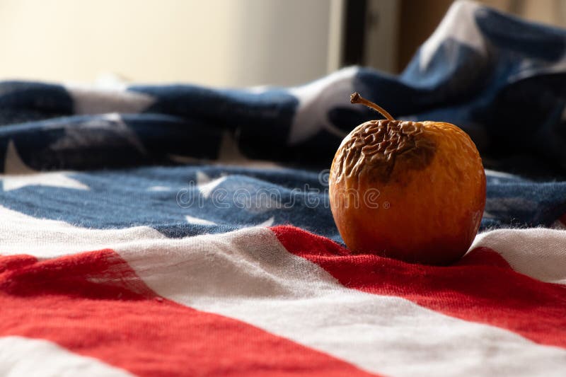 Rotten and Dry Apple Lies on the American Flag, Crisis Stock Image ...