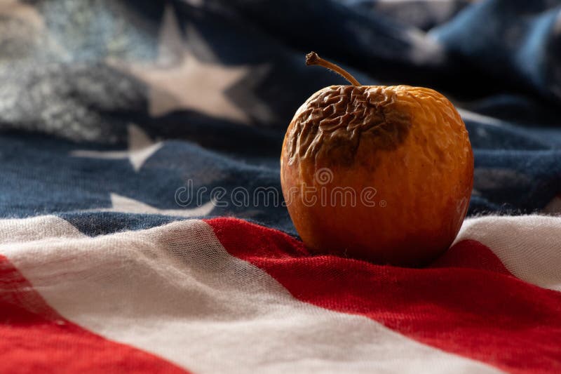 Rotten and Dry Apple Lies on the American Flag, Crisis Stock Photo ...