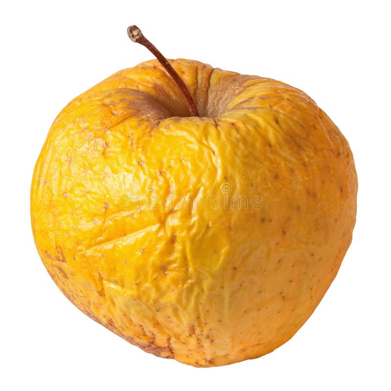 Rotten Dry Disgusting Apple Isolated White Photos - Free & Royalty-Free ...