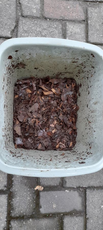 Rotten Dry Leaves for Compost Stock Image - Image of decomposed ...
