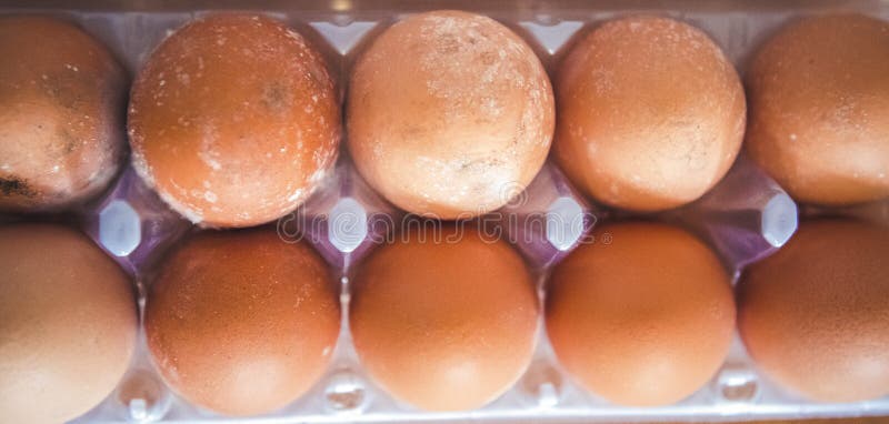 Rotten The Eggs. Poor Egg Storage. Stock Photo - Image of cooking, food ...