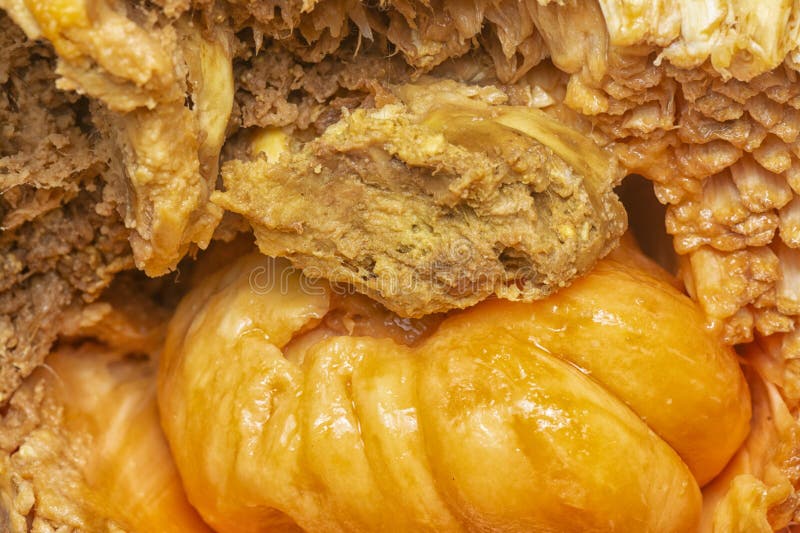 Rotten Flesh of the Artocarpus Integer Inner Fruit. Stock Image - Image ...