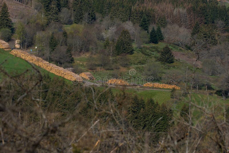 Rotten Forrest in the German Area Called Rothaargebirge Stock Image ...