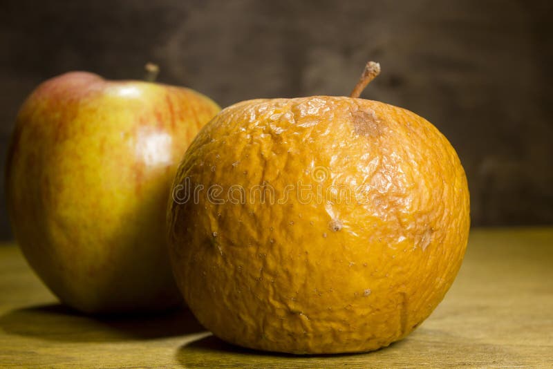 A rotten and a fresh apple stock photo. Image of garden - 265782