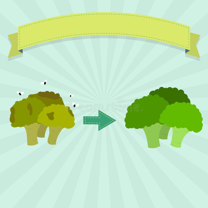 Scary Broccoli Stock Illustrations – 41 Scary Broccoli Stock ...