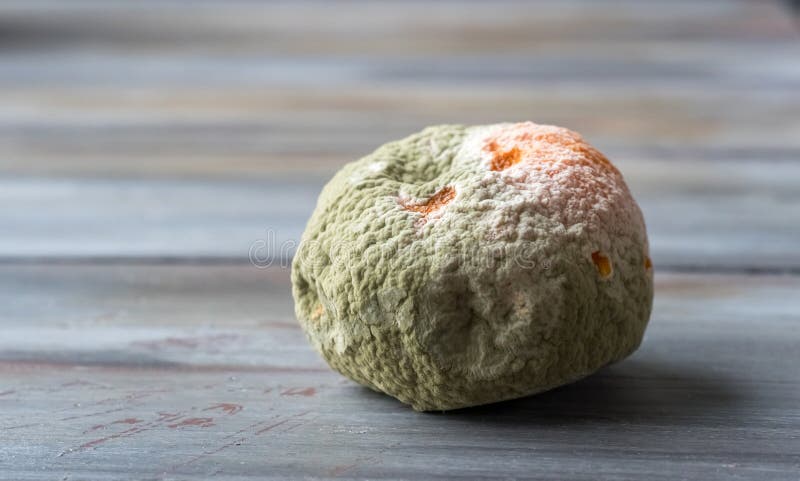 Rotten and Fresh Tangerine Fruit with Mold on Wooden Table Stock Image ...