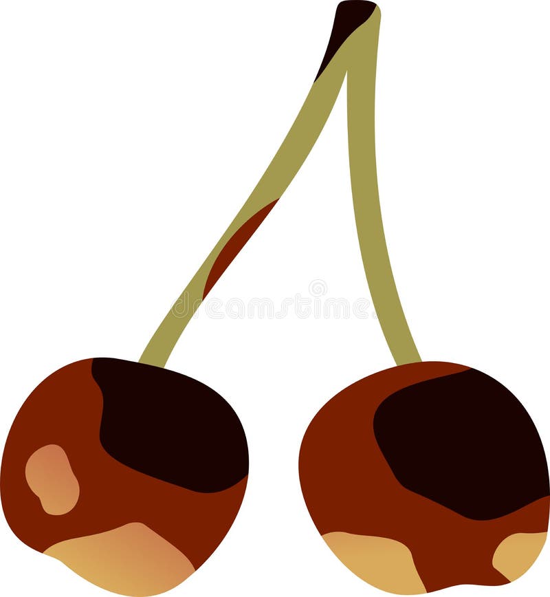 Rotten Fruit Stock Illustrations – 690 Rotten Fruit Stock Illustrations ...