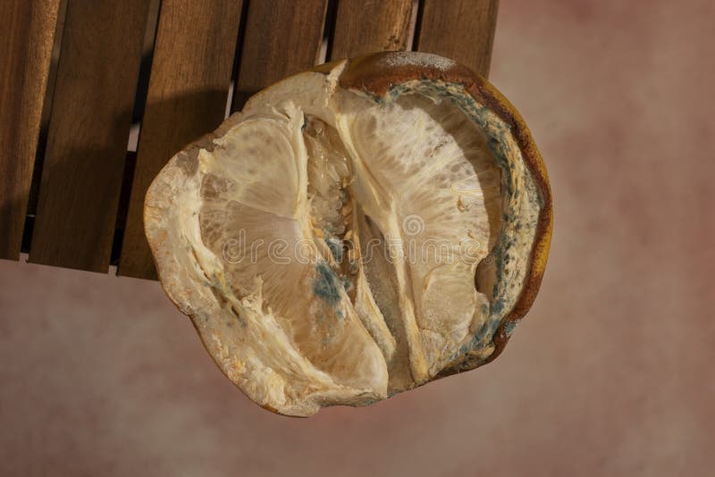 Rotten Fruit with Mold on the Table. Stock Photo - Image of apple ...