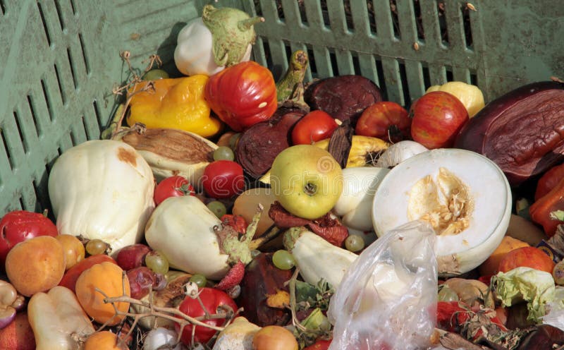 Rotten Fruit and Vegetables Used As Manure in a Farm Stock Image ...