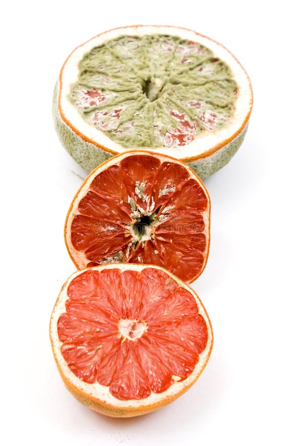 Rotten Grapefruits Stock Photos - Free & Royalty-Free Stock Photos from ...