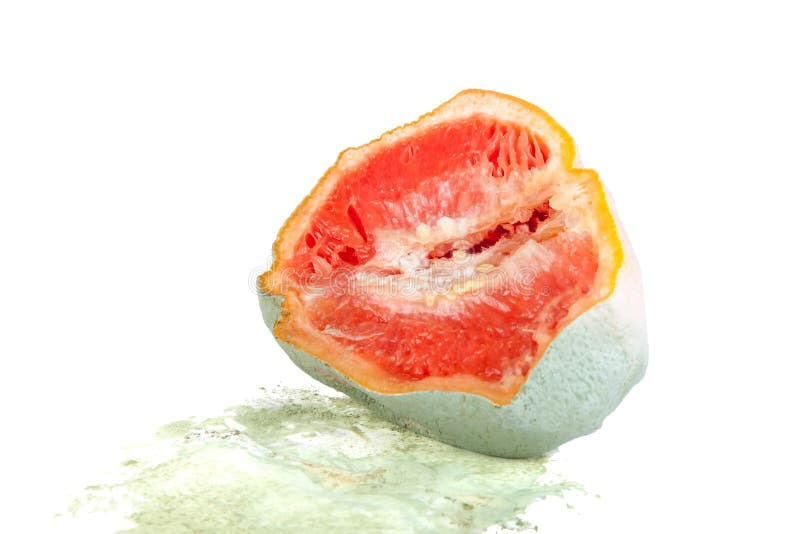 Rotten Grapefruit Half Isolated on White Stock Image - Image of medical ...