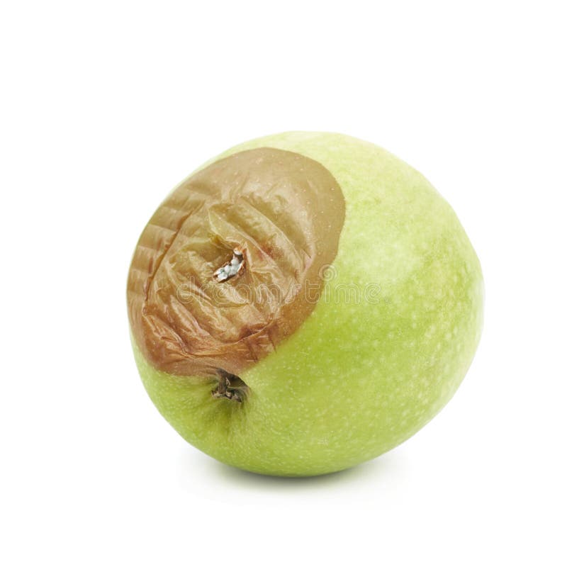 2,549 Rotten Green Apple Stock Photos - Free & Royalty-Free Stock ...