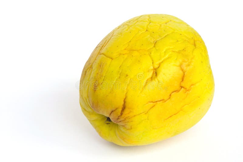 2,549 Rotten Green Apple Stock Photos - Free & Royalty-Free Stock ...