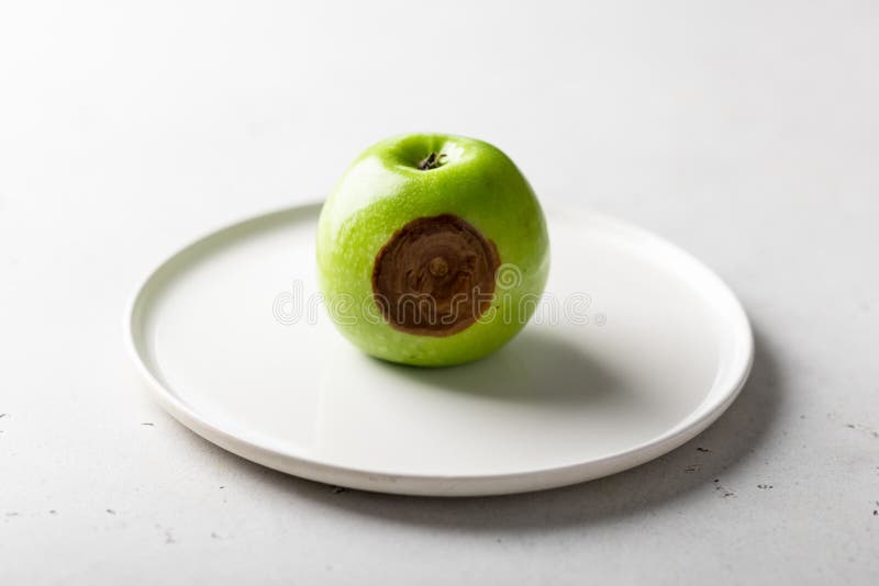 2,549 Rotten Green Apple Stock Photos - Free & Royalty-Free Stock ...