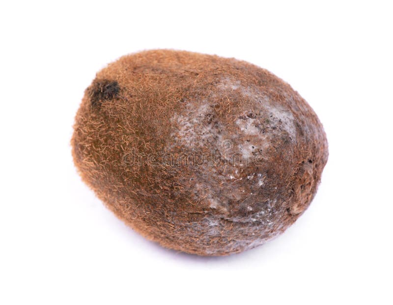 Moldy Kiwi Fruit on White Background Stock Photo - Image of uneatable ...