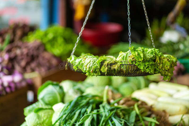 Rotten Leaf Lettuce on a Display Stand of a Vegetable Stall Stock Image ...