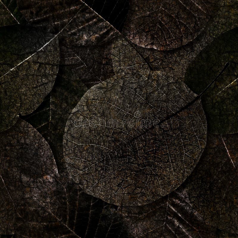 Rotten Leafs Seamless Background. Stock Photo - Image of detail ...