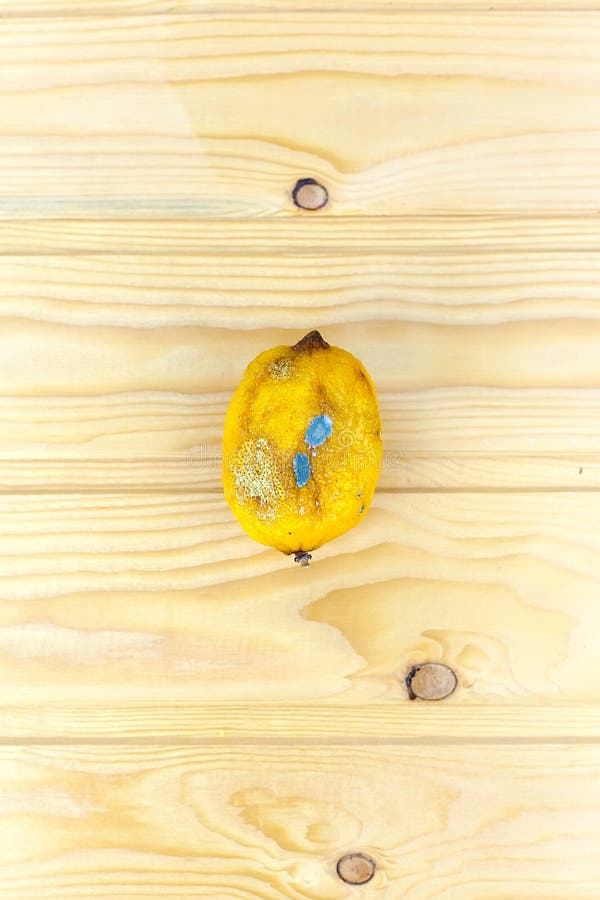 Rotten Lemon Fruit on Pure White Stock Image - Image of disgusting ...