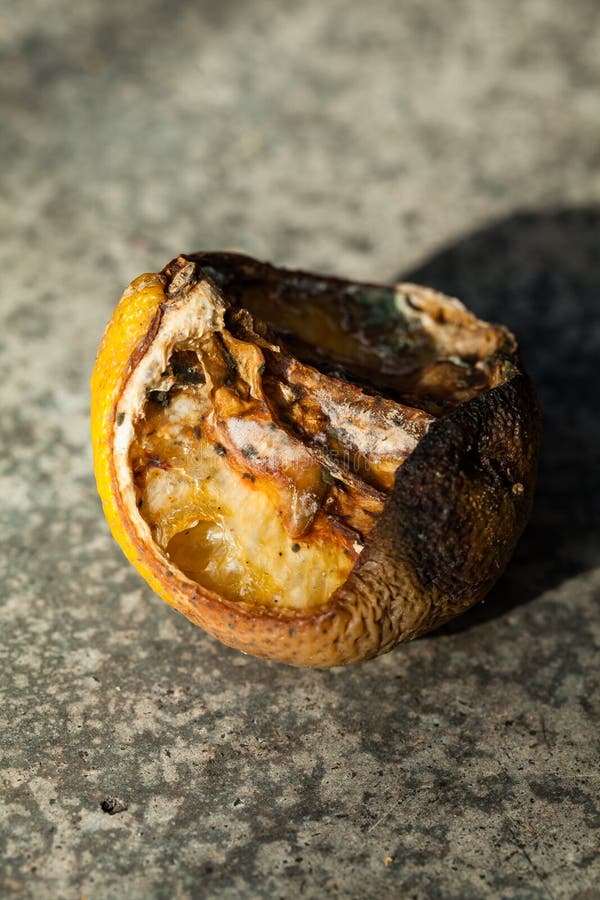 1,172 Rotten Lemon Photos - Free & Royalty-Free Stock Photos from ...