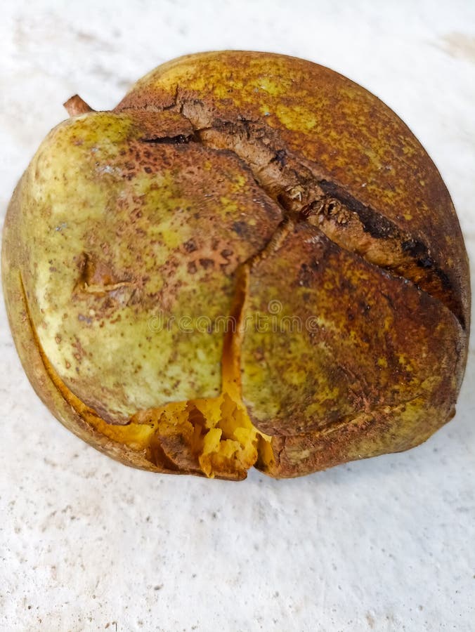 Rotten Mango Fruit on Abstract Background Stock Photo - Image of decay ...