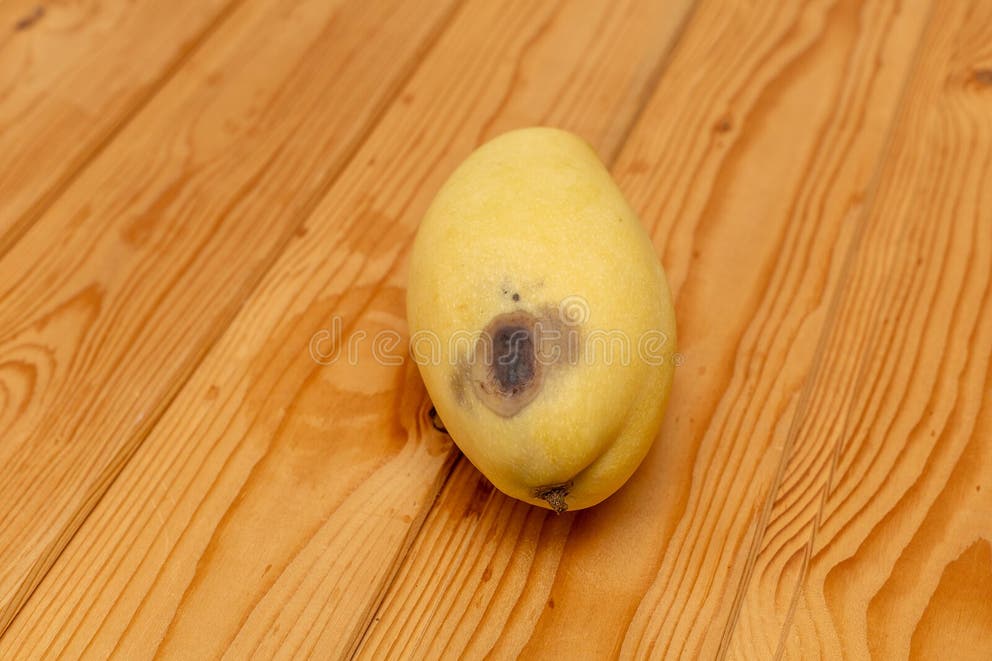 Rotten mango on wood table stock photo. Image of baneful - 322642900