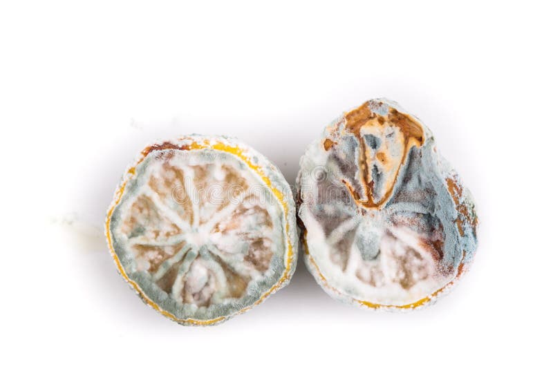 Rotten, Moldy and Decomposing Lemon, Apple, Pear on White Background ...