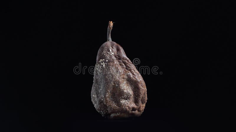 315 Moldy Pear Stock Photos - Free & Royalty-Free Stock Photos from ...