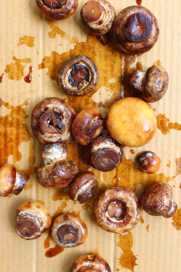 Rotten Mushrooms Background Stock Image - Image of uncooked, mushrooms ...