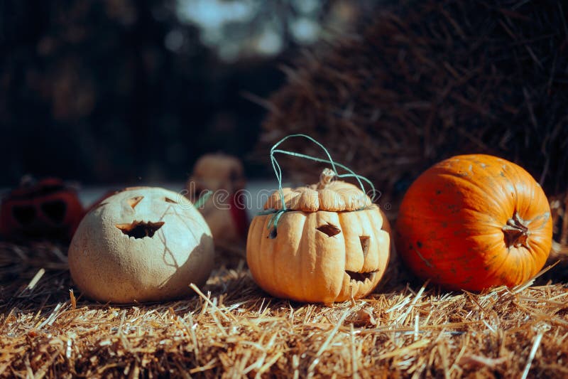 Funny Jack-o-Lantern Pumpkin Decorations Sitting on Haystack Stock ...