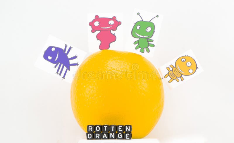 Rotten orange stock photo. Image of fruit, healthy, cubes - 77957782