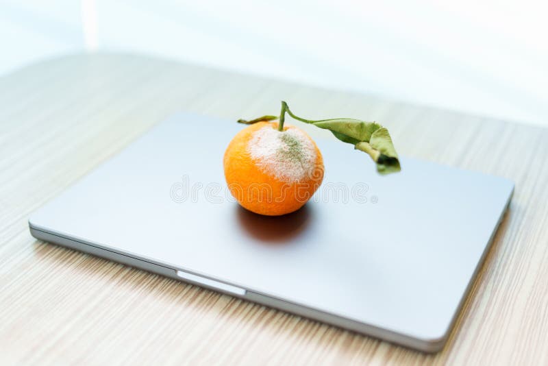 Rotten Orange with Mold on a Closed Laptop Stock Photo - Image of ...
