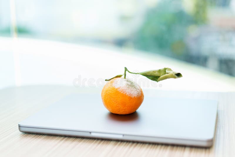 Rotten Orange with Mold on a Closed Laptop Stock Photo - Image of ...