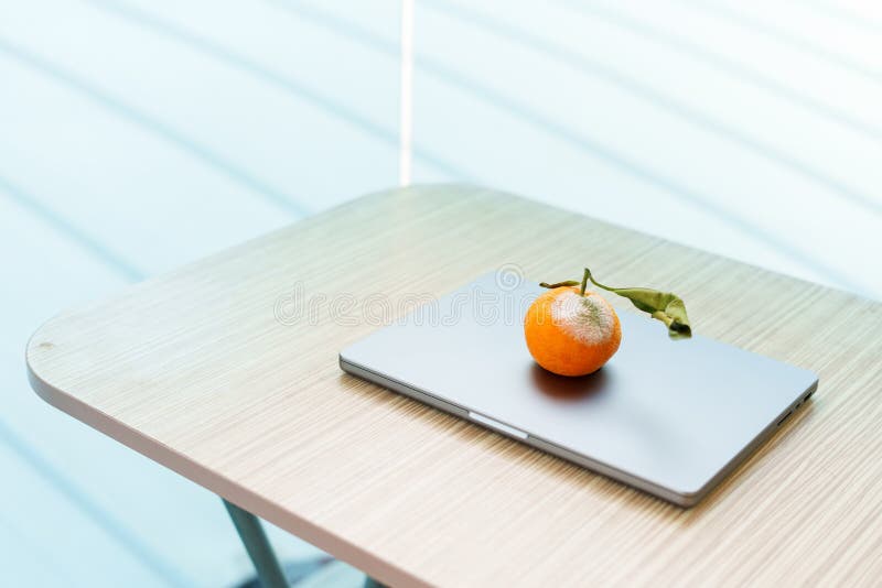 Rotten Orange with Mold on a Closed Laptop Stock Image - Image of ...