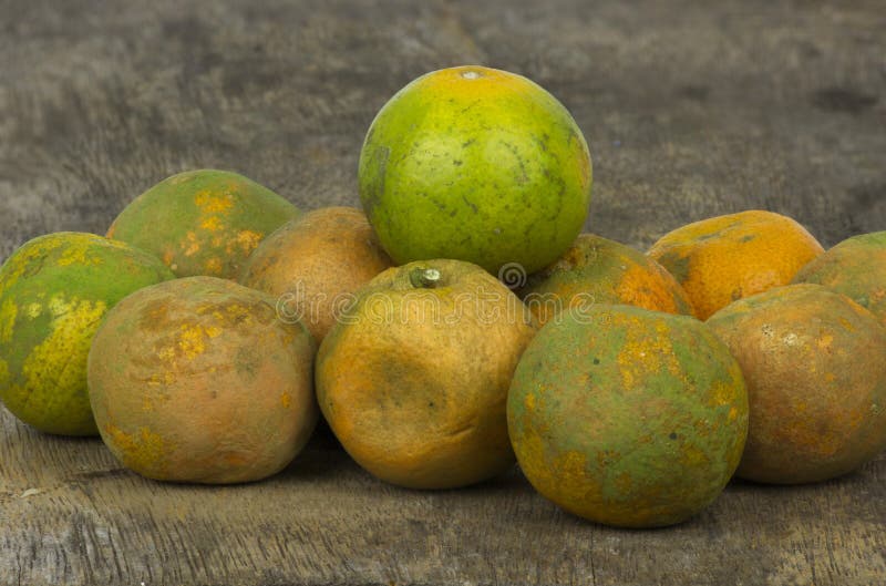Rotten Oranges on Wooden Floors Stock Image - Image of oranges, rotten ...