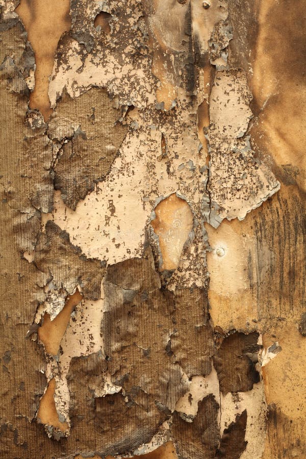 Rotten paperhanging stock image. Image of black, adust - 15978245