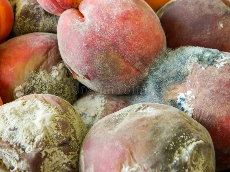 Peaches Stock Photos - Download 38,798 Royalty Free Photos