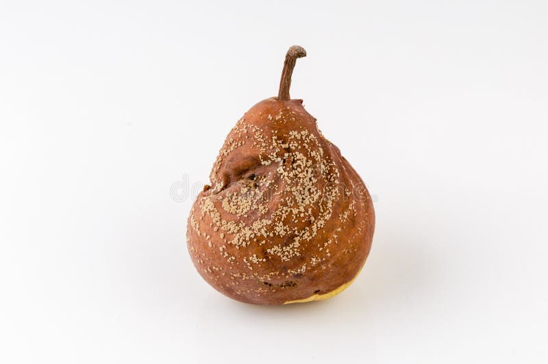 1,209 Rotten Pear Stock Photos - Free & Royalty-Free Stock Photos from ...