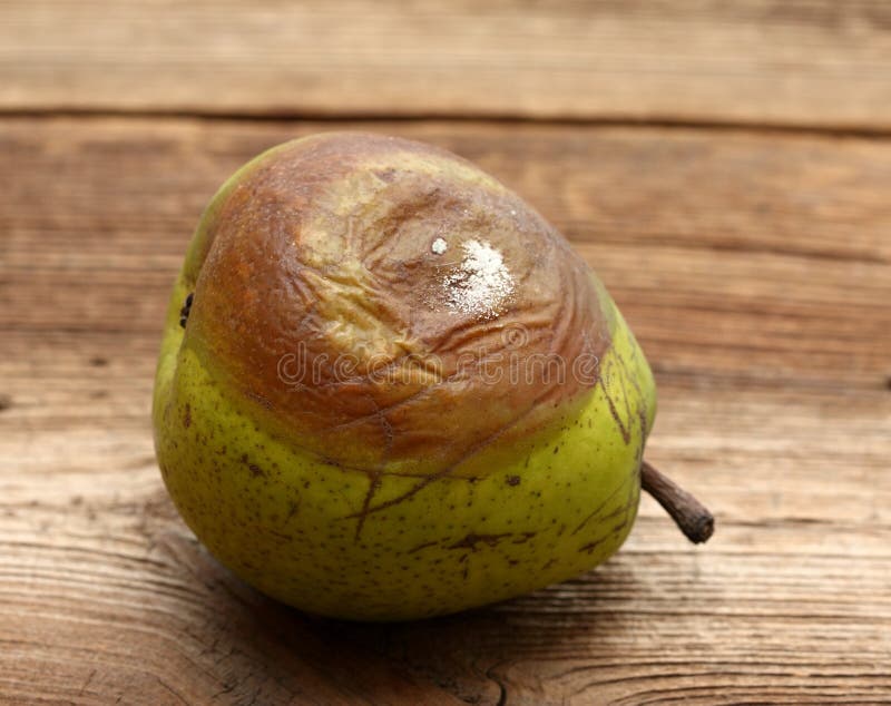 Rotten Pear. Rotten Fruit. Bad Fruit. Stock Photo - Image of fall ...
