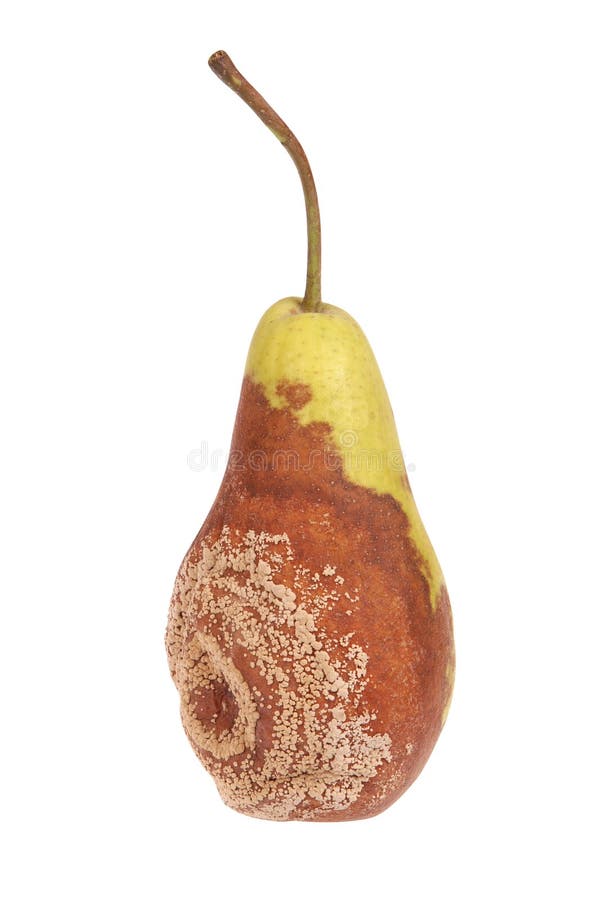 1,209 Rotten Pear Stock Photos - Free & Royalty-Free Stock Photos from ...