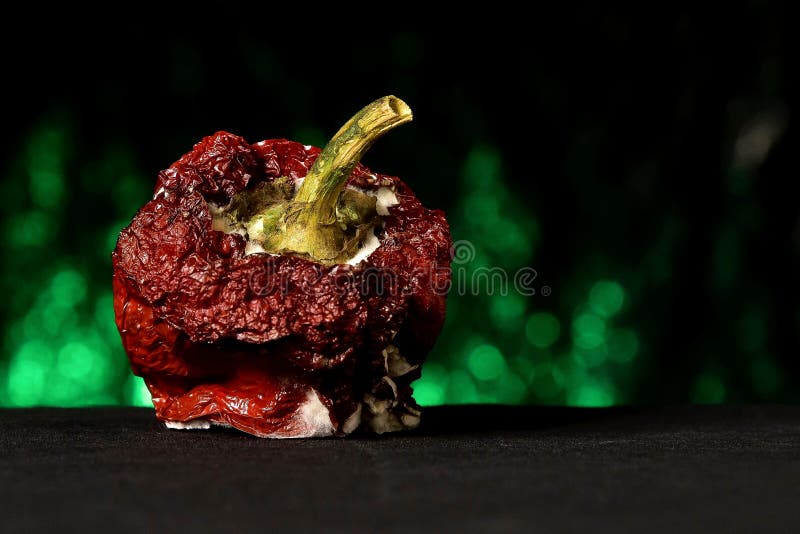 337 Old Rotten Pepper Stock Photos - Free & Royalty-Free Stock Photos ...