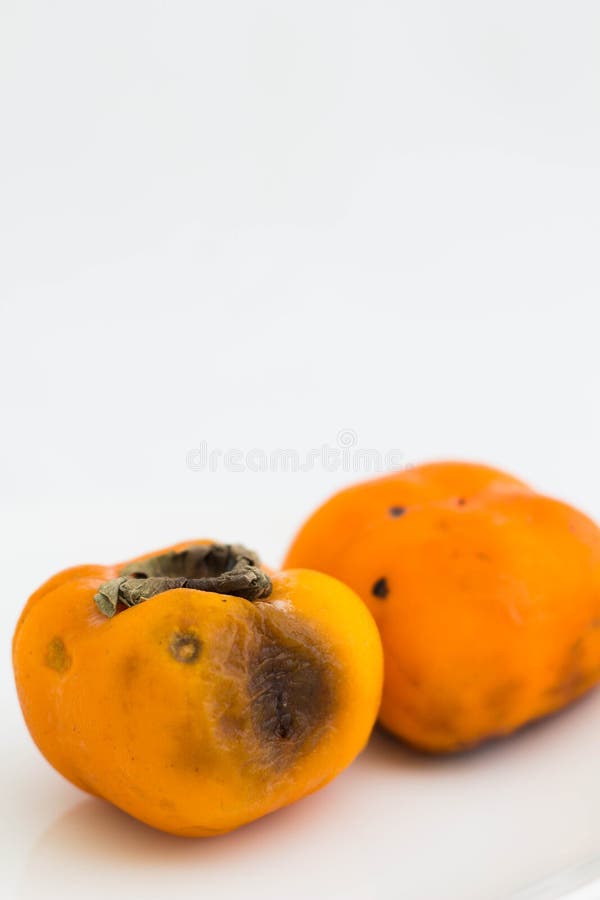 Rotten Persimmon Stock Photos - Free & Royalty-Free Stock Photos from ...