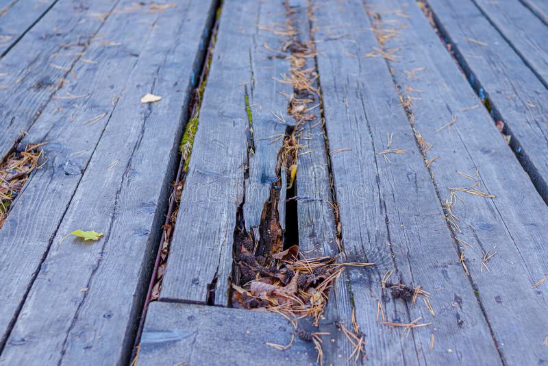 Old Rotten Planks with Rusty Nails and Square Washer with Nut Stock ...