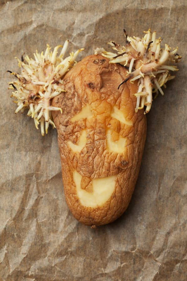 574 Potato Cartoon Stock Photos - Free & Royalty-Free Stock Photos from ...