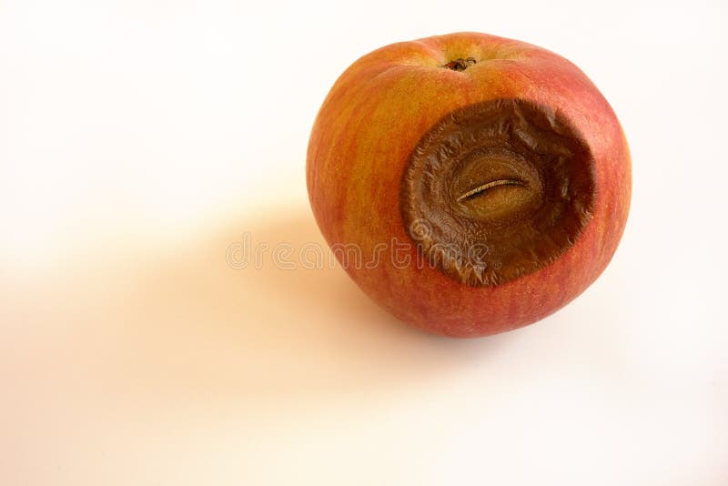 1,381 Rotten Red Apple White Background Stock Photos - Free & Royalty ...