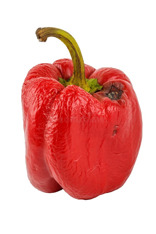 Rotten Red Bell Pepper Isolated on White Background Stock Image - Image ...