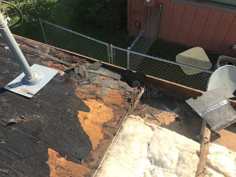 Rotten Roof and Rafters after Leak Stock Photo - Image of damage, term ...