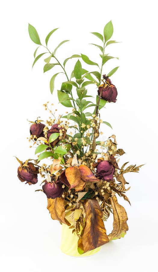 Bouquet Of Rotten Fruits And Wilted Flowers Planted In The Ground As A ...