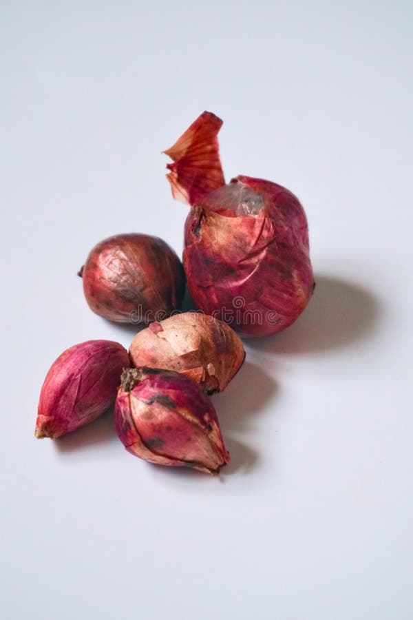 Rotten shallots stock photo. Image of natural, agriculture - 397702930
