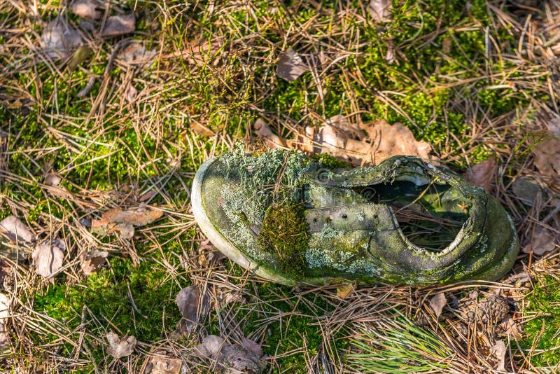 Rotten Shoe Lying on Forest Ground. Stock Image - Image of conservation ...