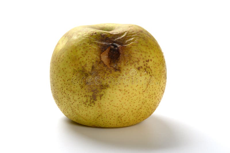 A Rotten Snow Pear on White Background Stock Photo - Image of uneatable ...